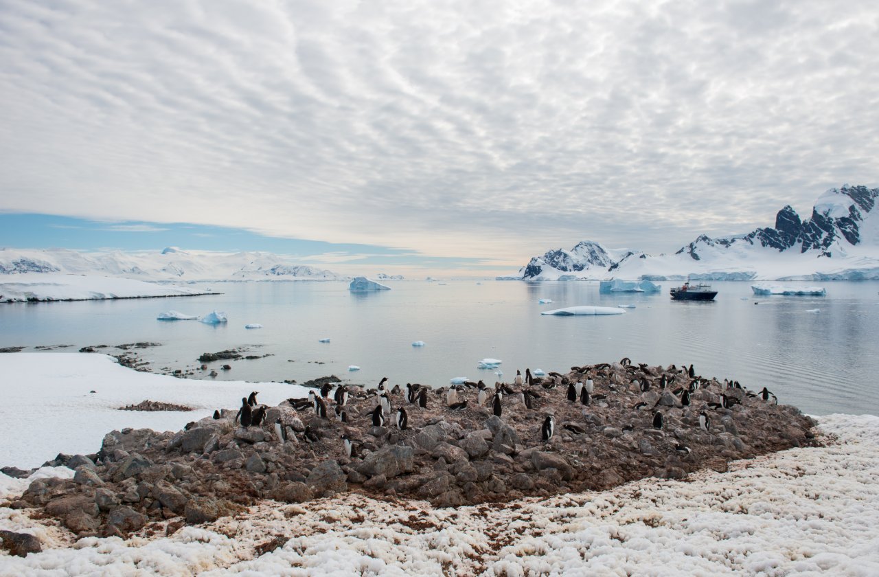 Antarctica Base Camp Expedition with Oceanwide - Antarctica - Safaritalk