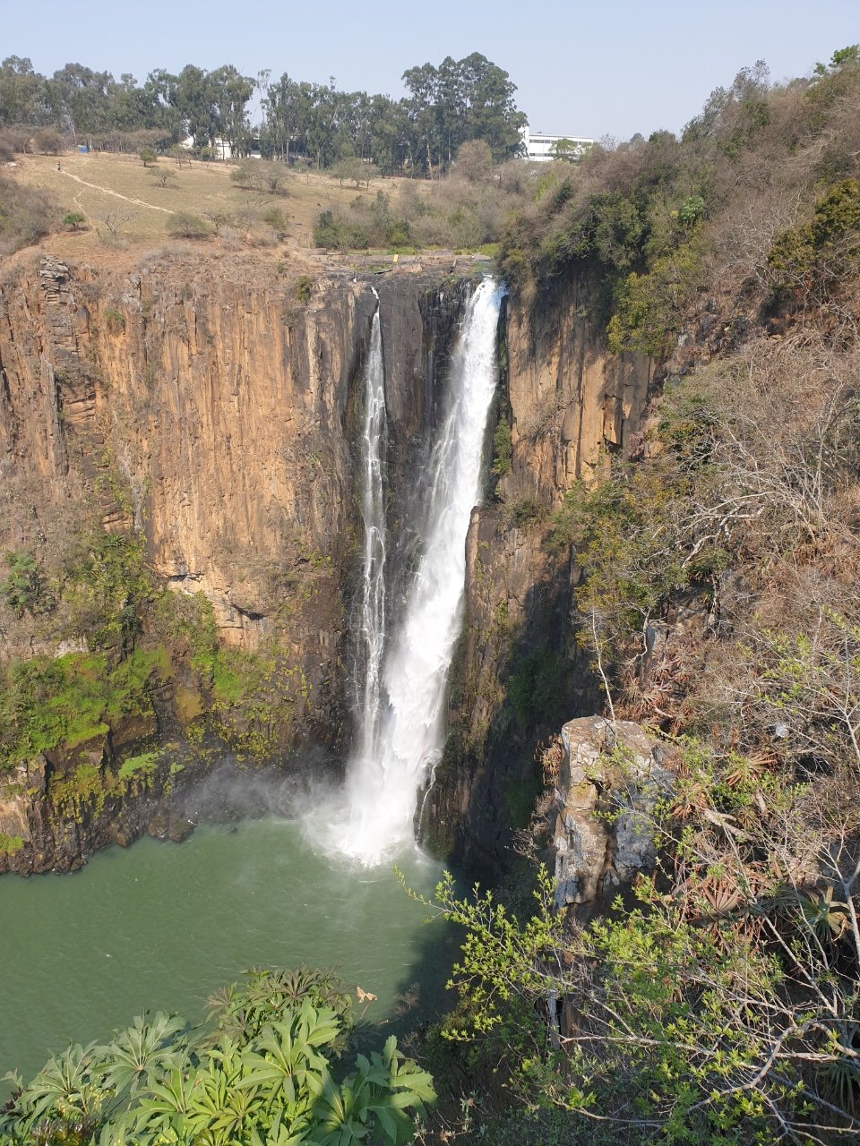 Leeu, and Ystervark, and strandwolf, oh my! - Page 3 - South Africa ...