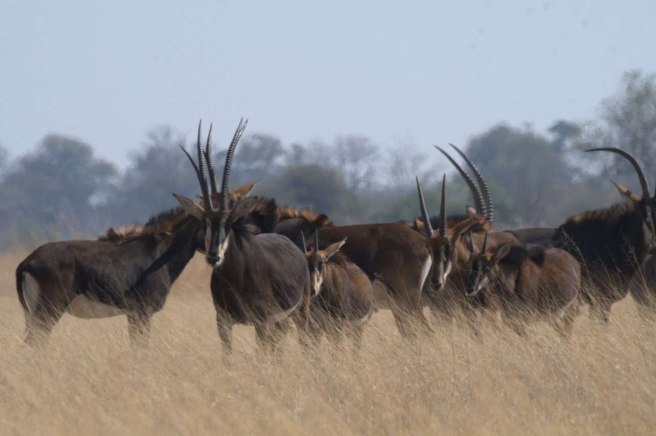 50 Days Southern Africa: Self-Drive Safaris in Namibia, South Africa ...