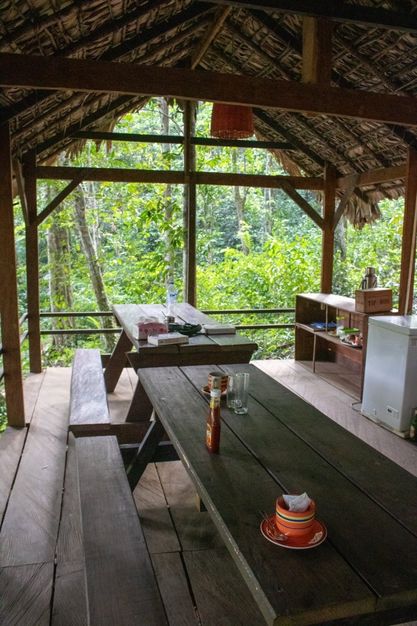 Lovin' Liberia - A Week in Sapo National Park, January 2024 - North ...