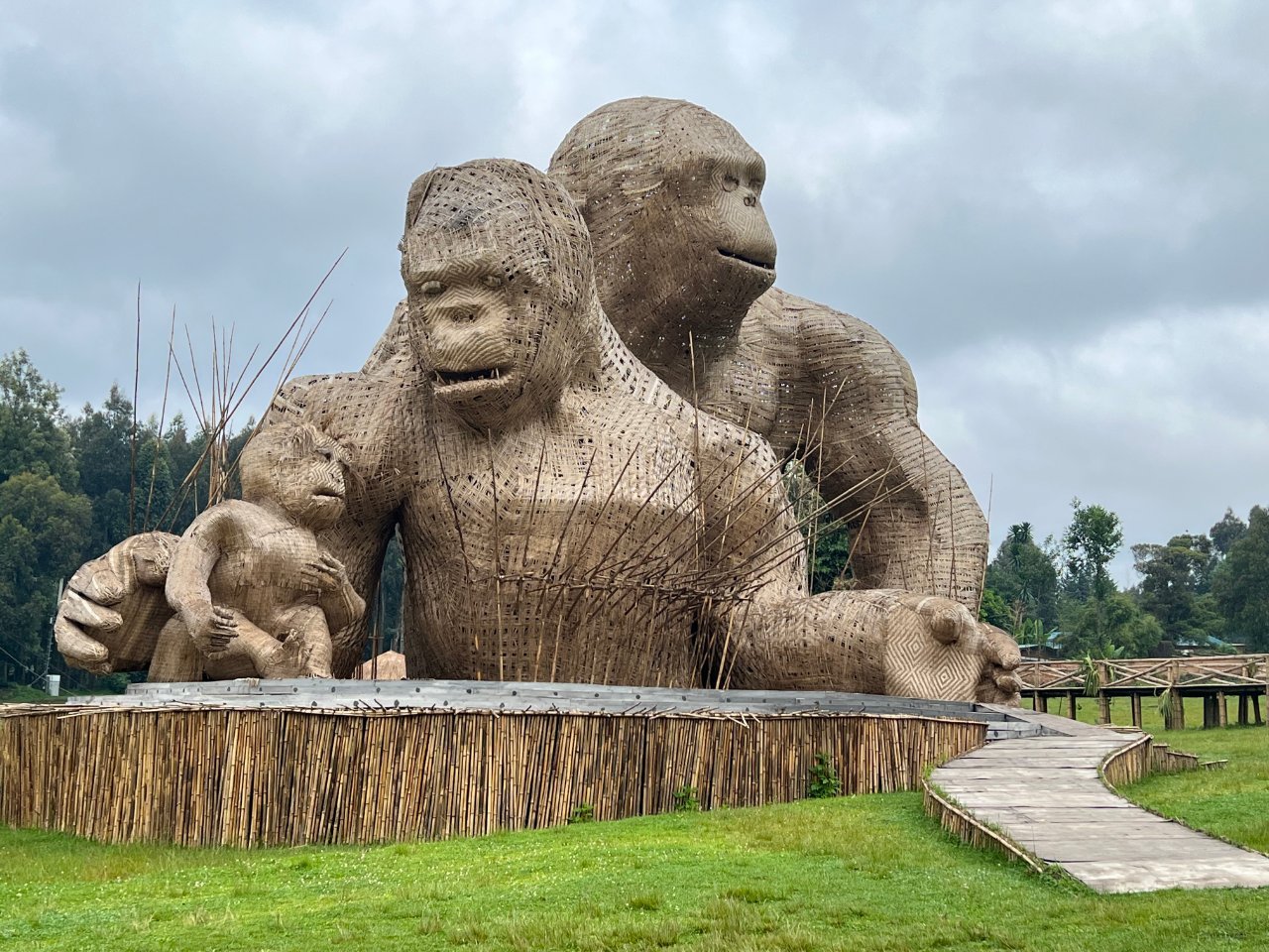 Gorillas in the .......snow? - Rwanda - Safaritalk