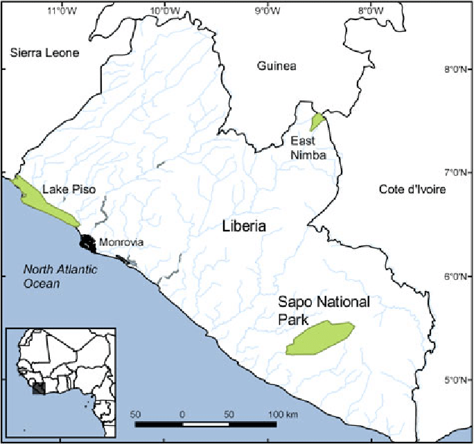 Lovin' Liberia - A Week in Sapo National Park, January 2024 - North ...