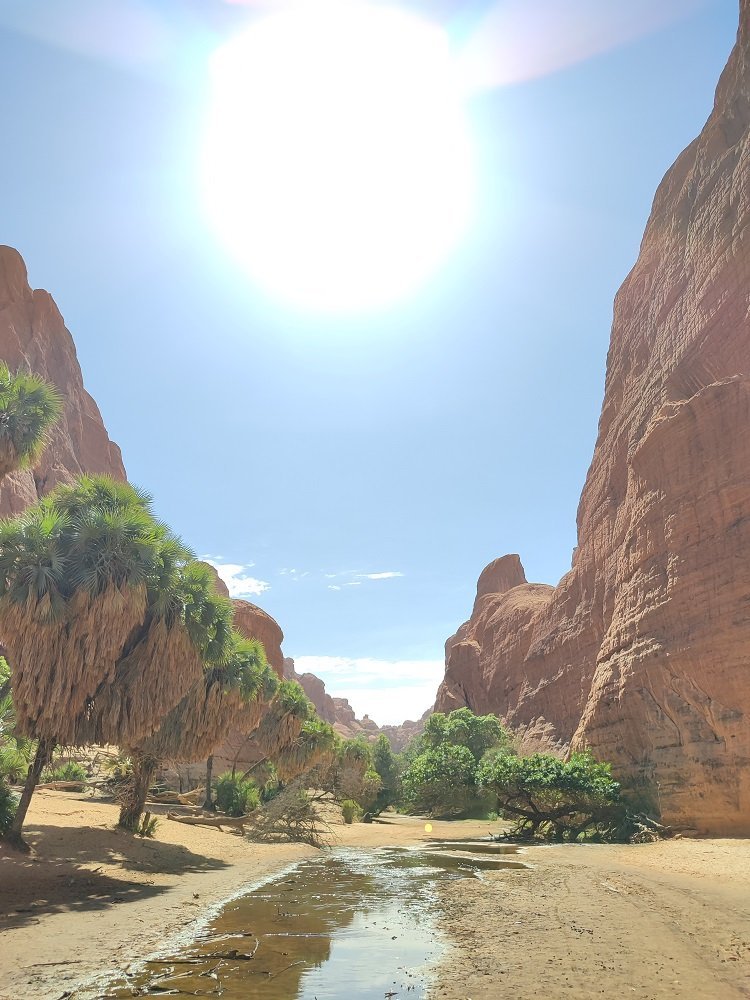 Chad 2024 with Chalo Africa - Chad / Central African Republic - Safaritalk