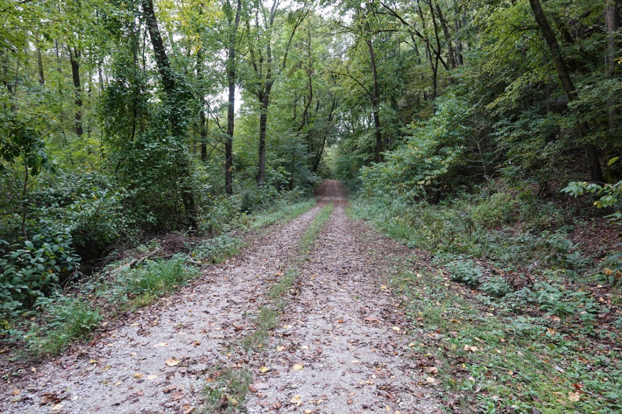 Snake Road in Shawnee National Forest in Early October - North America ...