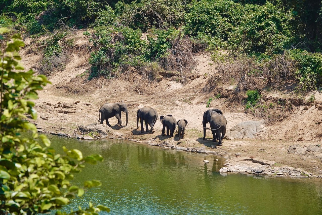 There is more to Malawi than the Lake : A first visit to the warm heart ...