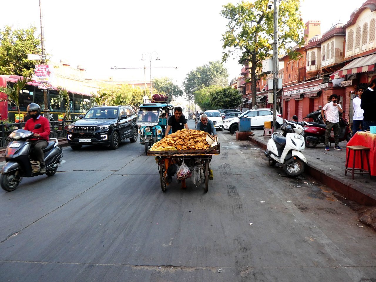 Tradition, tigers and the 21st century : India 2025 - India - Safaritalk