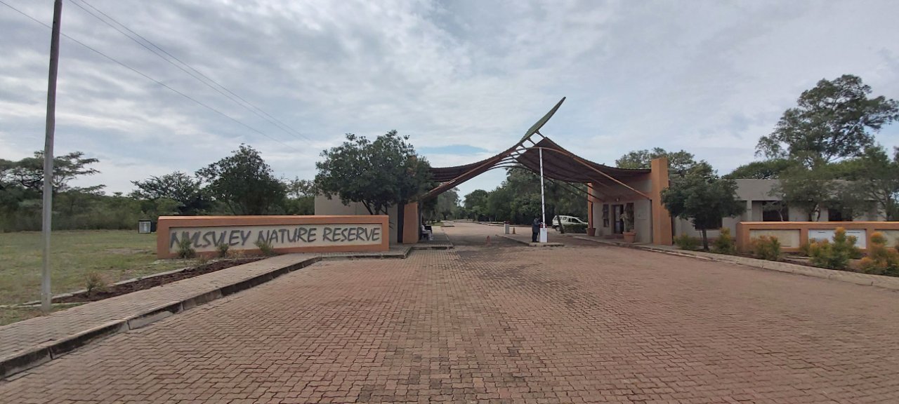 An affordable safari in South Africa & Tuli Block - South Africa ...