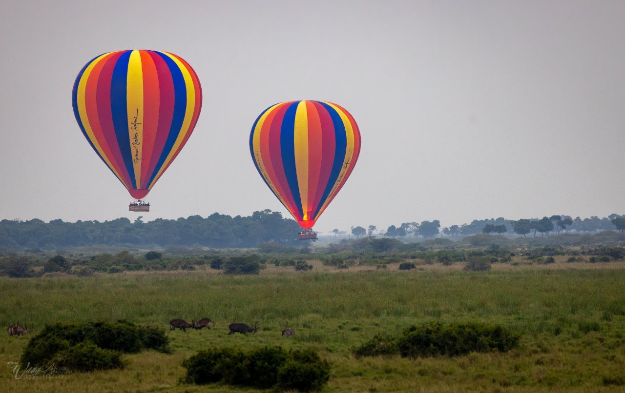 Video and tripreport Selfdrive Masai Mara Triangle - Kenya - Safaritalk