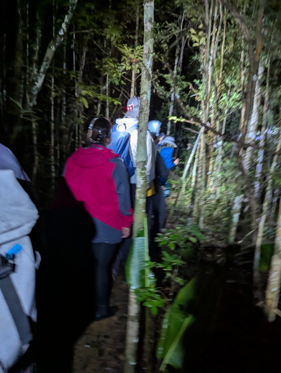 Mora, Mora Madagascar. Tales of a dying Eden. - Page 6 - Madagascar ...